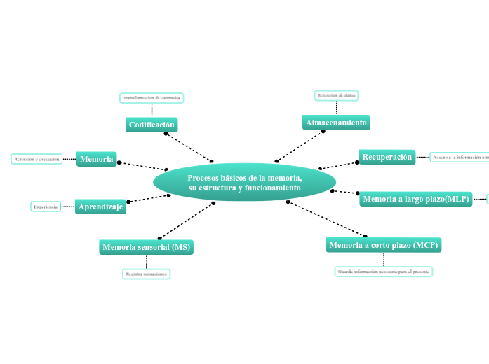 Procesos básicos de la memoria, su estruct...- Mind Map